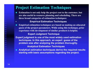 Software Project Management | PDF