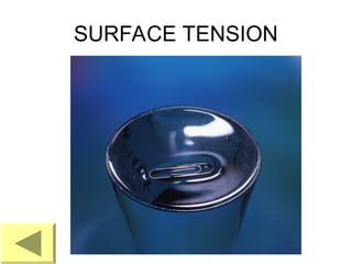 Chapter 4 Structure and Properties of Water.ppt