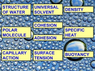 Chapter 4 Structure and Properties of Water.ppt