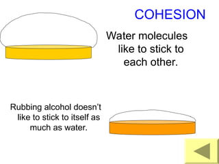 Chapter 4 Structure and Properties of Water.ppt
