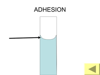 Chapter 4 Structure and Properties of Water.ppt
