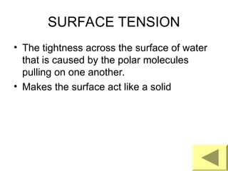 Chapter 4 Structure and Properties of Water.ppt
