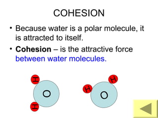Chapter 4 Structure and Properties of Water.ppt