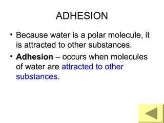 Chapter 4 Structure and Properties of Water.ppt