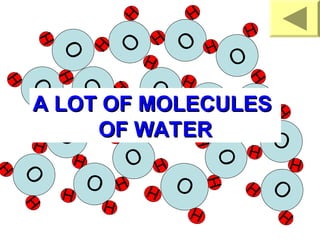 Chapter 4 Structure and Properties of Water.ppt
