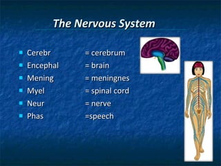 Chapter 4 terminology | PPT
