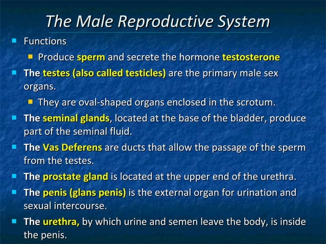 Chapter 4 terminology | PPT | Endocrine and Metabolic Diseases ...