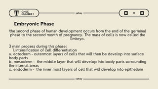 CHAPTER4The-Biological-And-Environmental-Causes-of ...