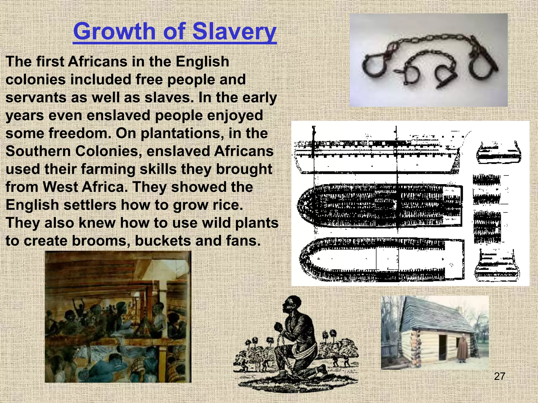 The Colonies Power point | PPT
