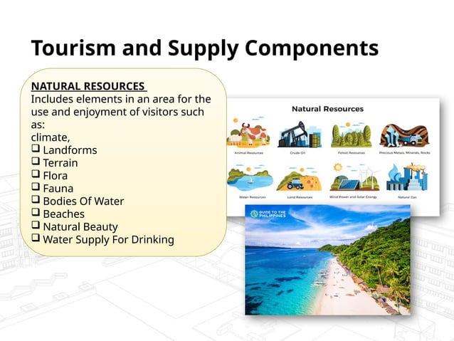 chapter 4 The Tourism and Hospitality Network and Supply Component.pptx