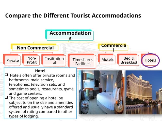 chapter 4 The Tourism and Hospitality Network and Supply Component.pptx