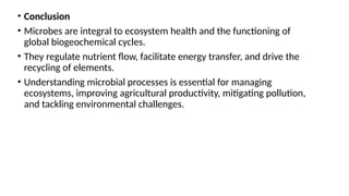 Chapter 4 th Microbial Functions in Ecosystems and Global Cycles.pptx