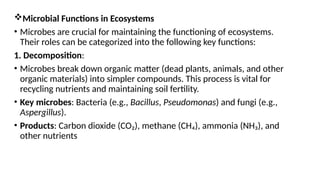 Chapter 4 th Microbial Functions in Ecosystems and Global Cycles.pptx