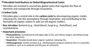 Chapter 4 th Microbial Functions in Ecosystems and Global Cycles.pptx
