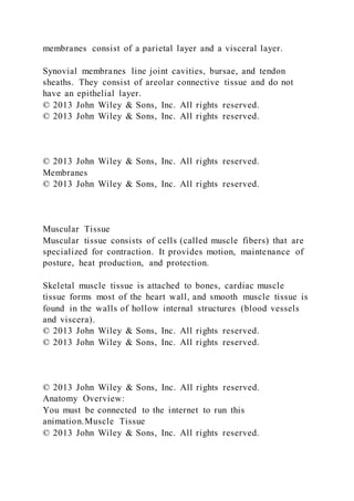 Chapter 4 tissues© 2013 john wiley & sons, inc. al | DOCX