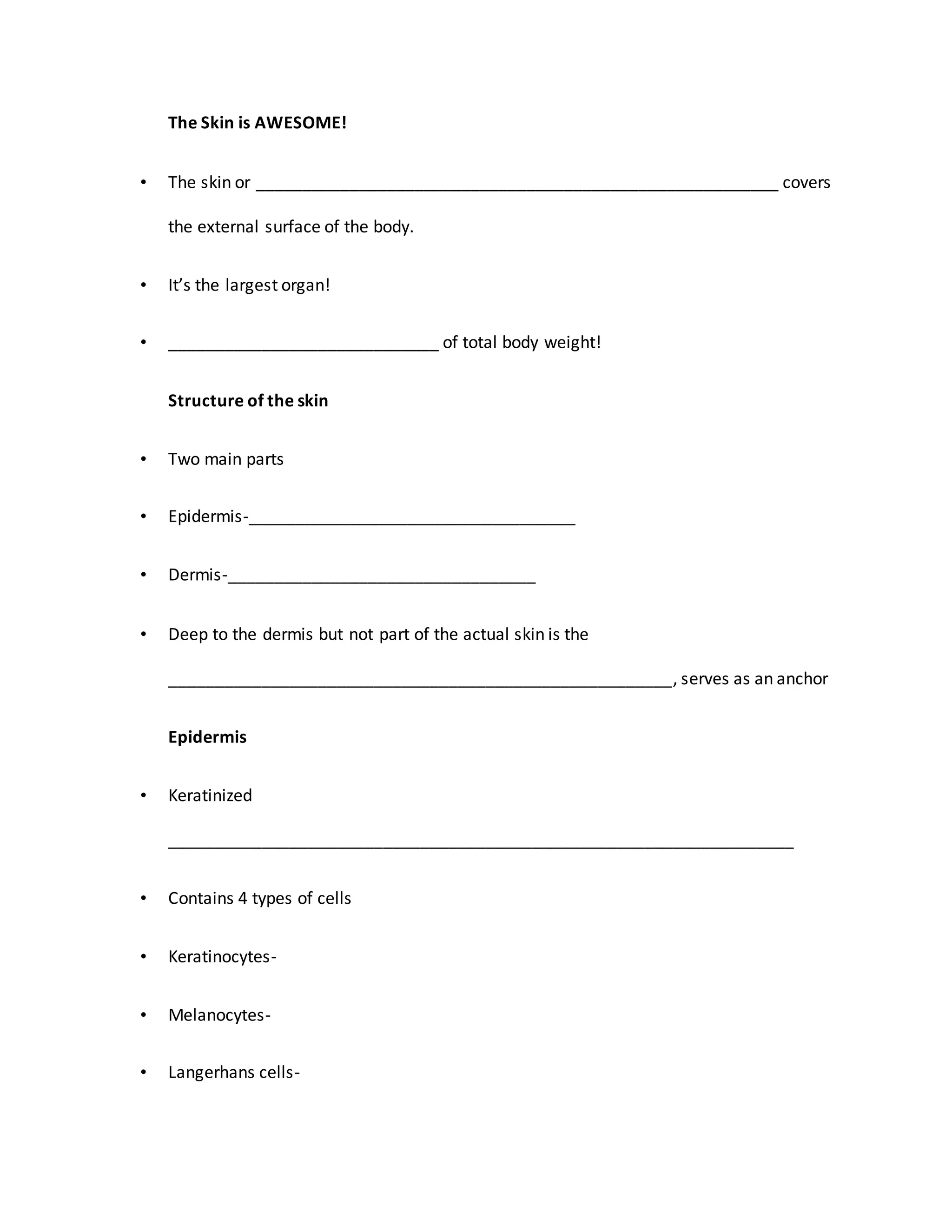 Chapter 4 tissues and chapter 5 integumentary system note guide | DOCX