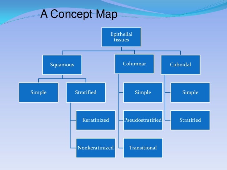 Tissue Types In The Body Concept Map - United States Map