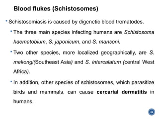Chapter 4 Trematodes (blood Flukes).pptx