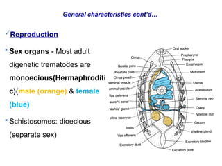 Chapter 4 Trematodes (blood Flukes).pptx