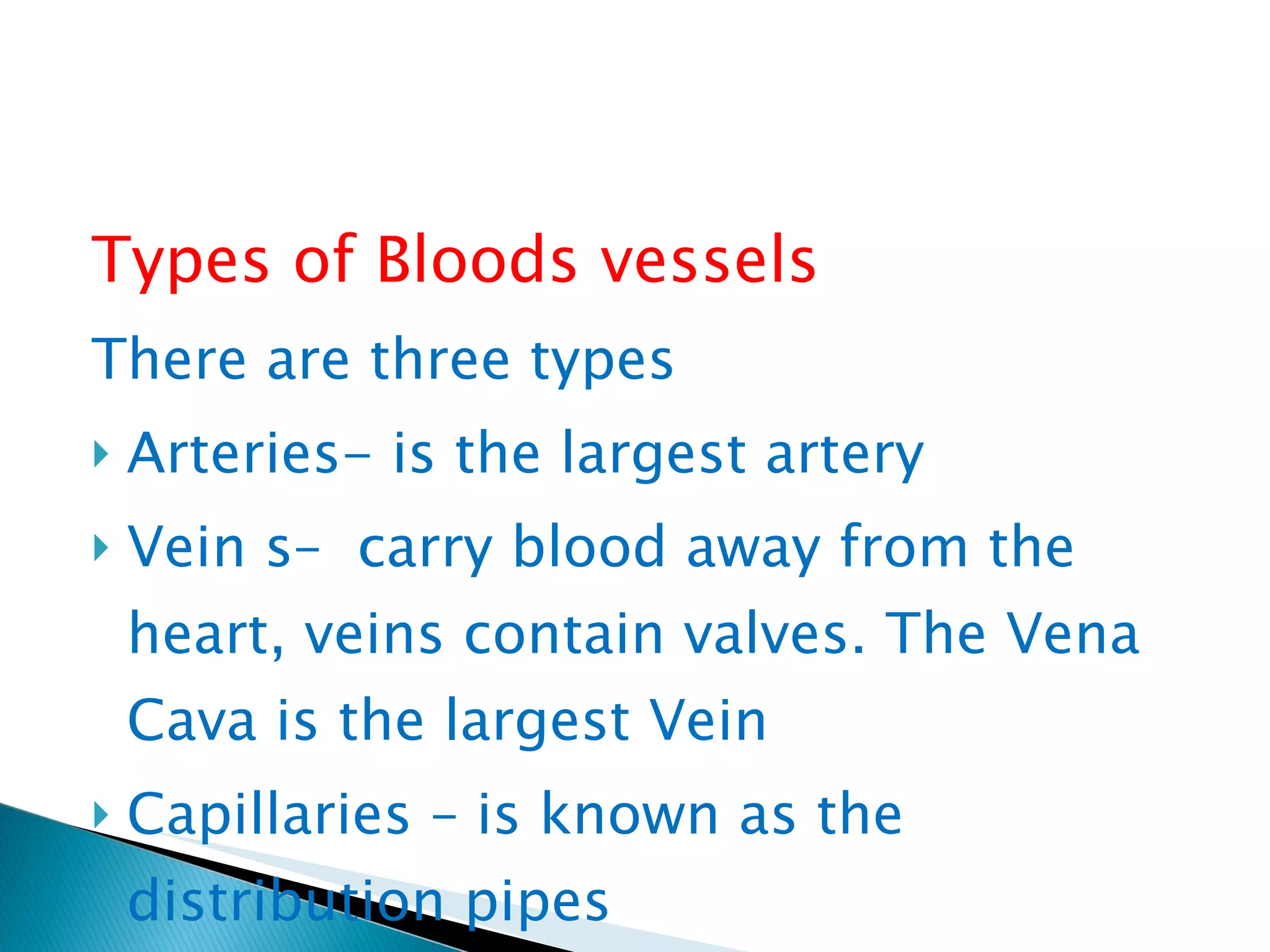 Chapter # 5 | PPT