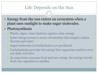 Ecology - Chapter 5 Section 1 | PPTX | Biological Sciences | Science