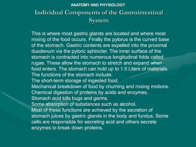 Anatomy and Physiology: Gastrointestinal Tract | PPT