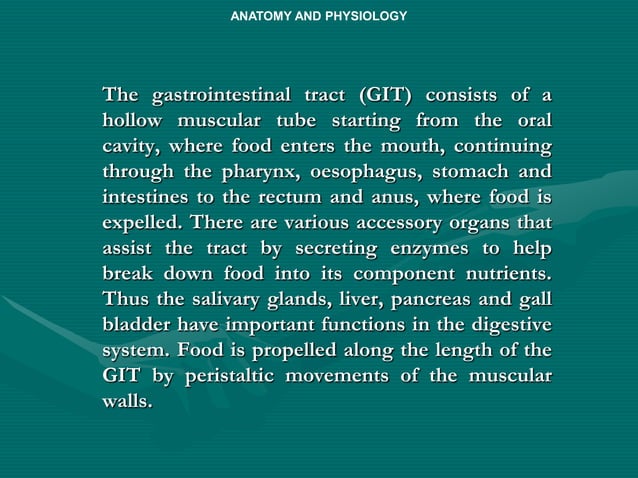 Anatomy and Physiology: Gastrointestinal Tract | PPT