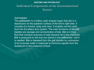 Anatomy and Physiology: Gastrointestinal Tract | PPT