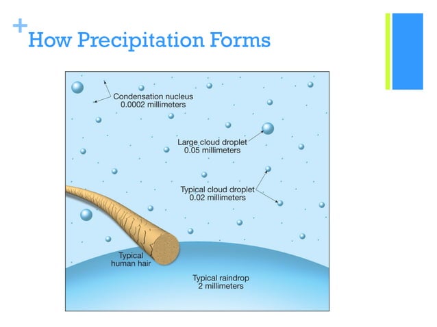 Forms of Condensation and Precipitation | PPT