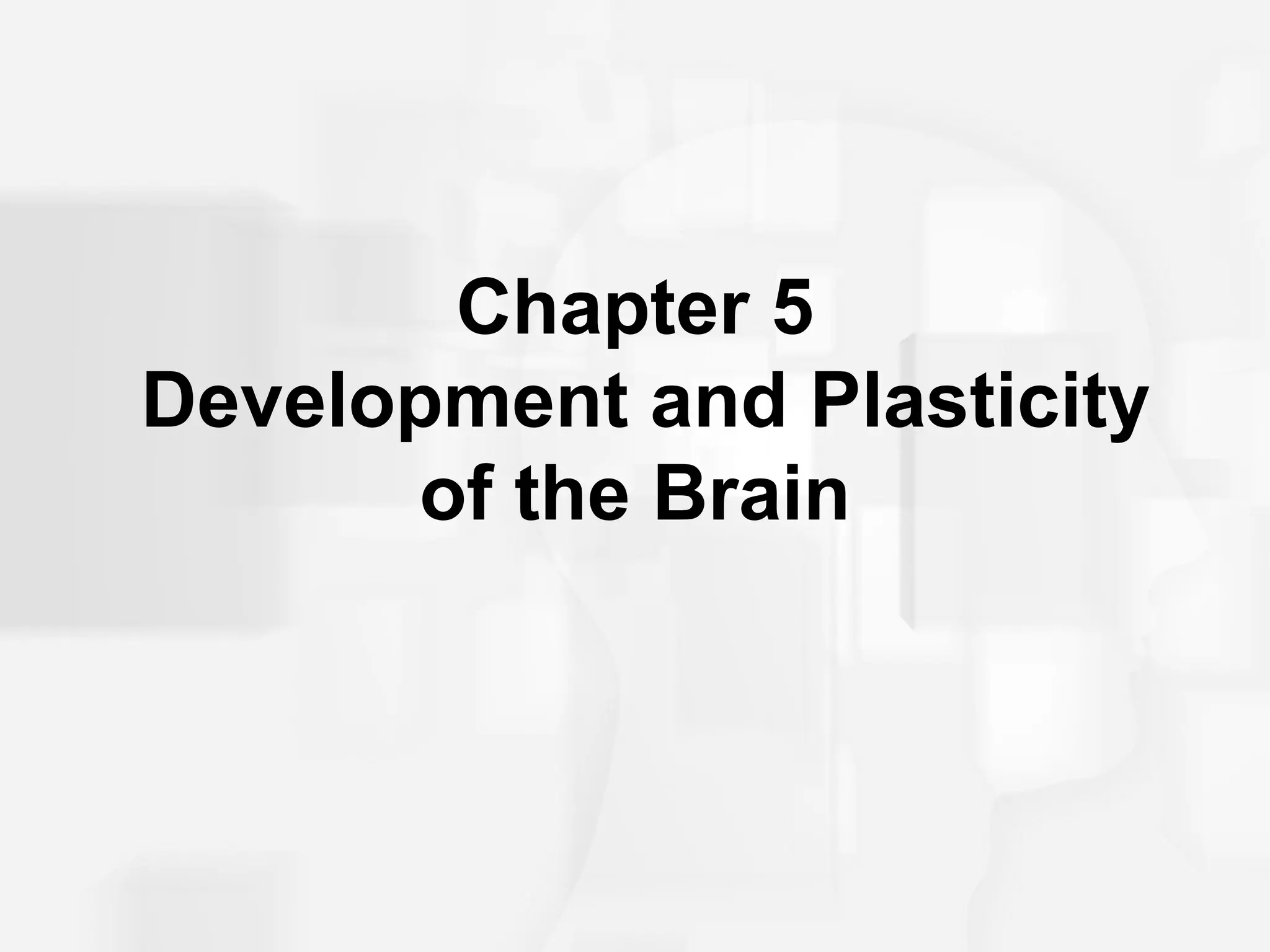 Chapter5 Power Point Lecture | PPT