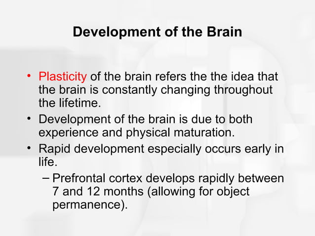 Chapter5 Power Point Lecture | PPT