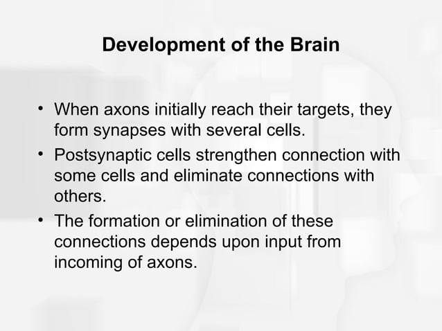 Chapter5 Power Point Lecture | PPT