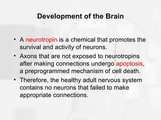 Chapter5 Power Point Lecture | PPT