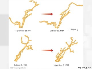 Chapter5 Power Point Lecture | PPT