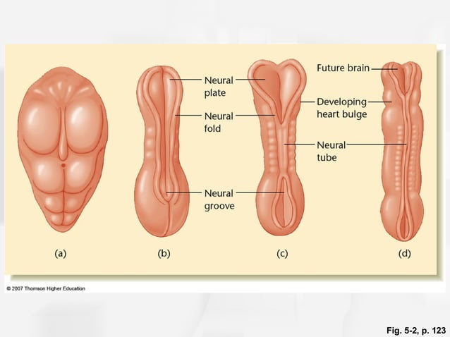 Chapter5 Power Point Lecture | PPT