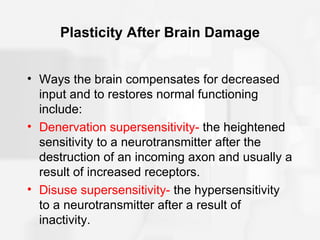 Chapter5 Power Point Lecture | PPT