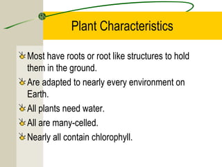 plants | PPT