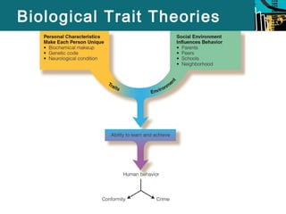 81-220-1 Chapter 5 | PPT