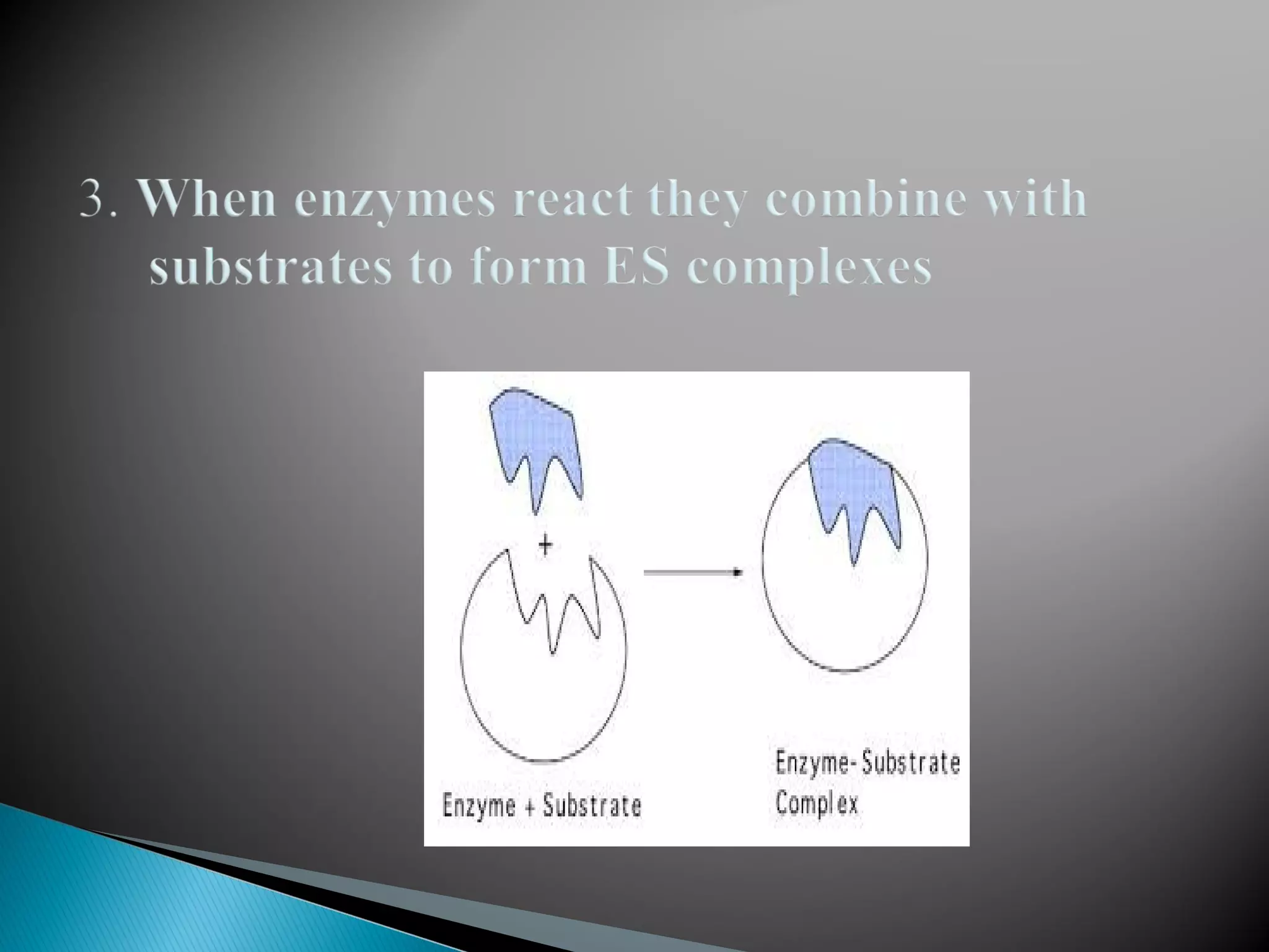properties of enzyme | PPT