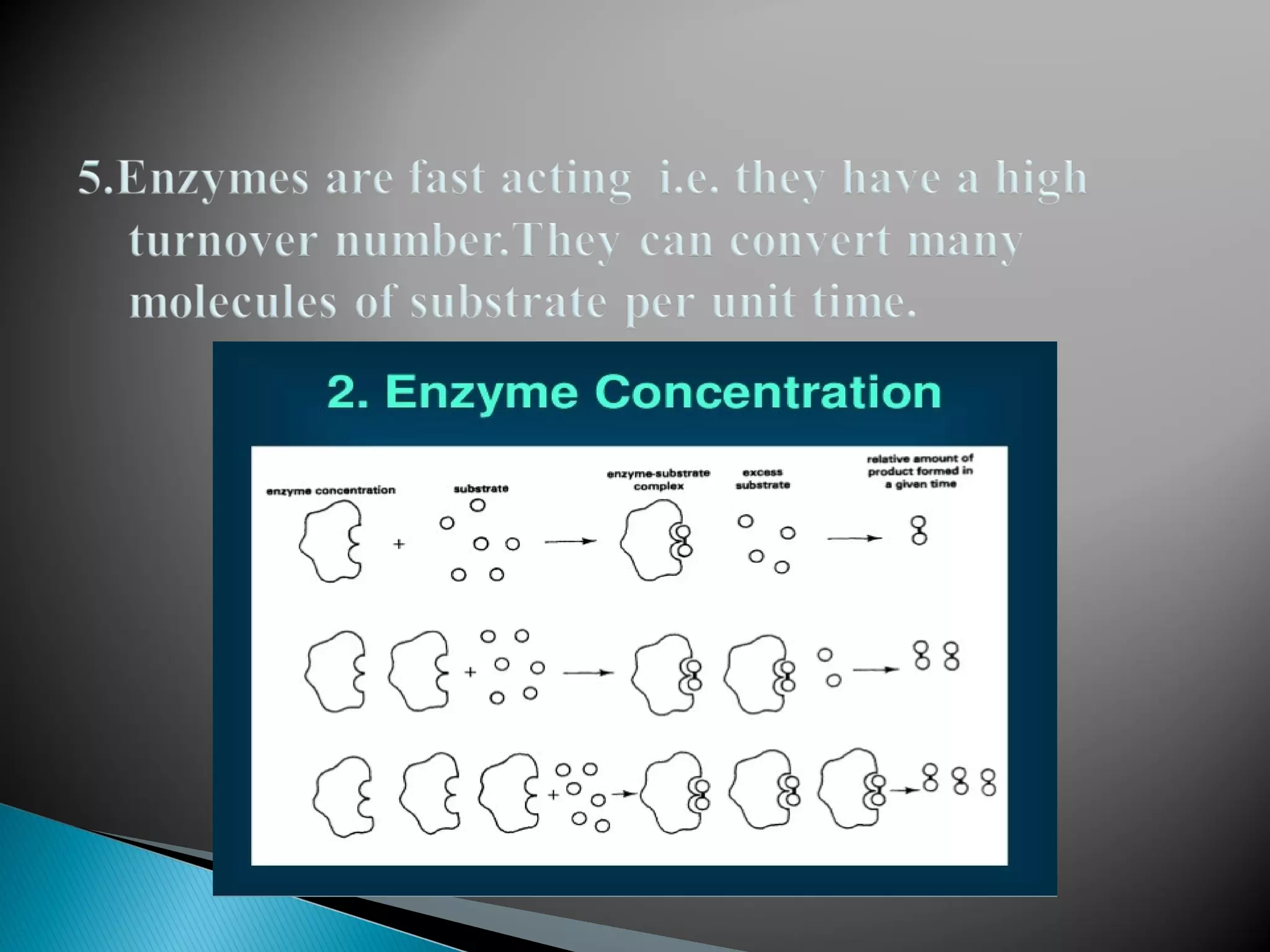 properties of enzyme | PPT