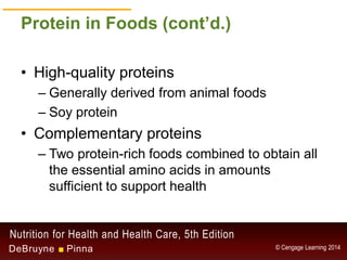 Chapter 5 - Protein | PDF