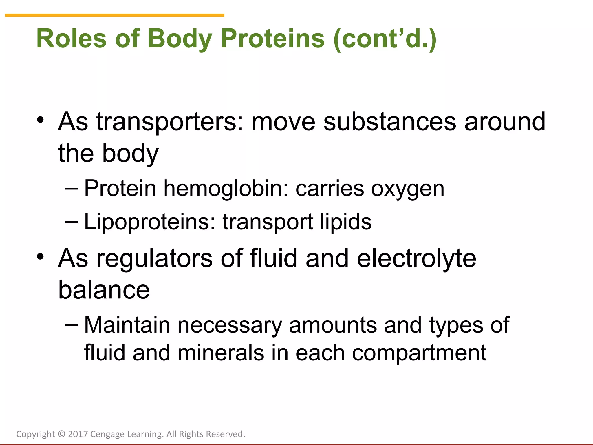 Chapter 5: Protein | PPT
