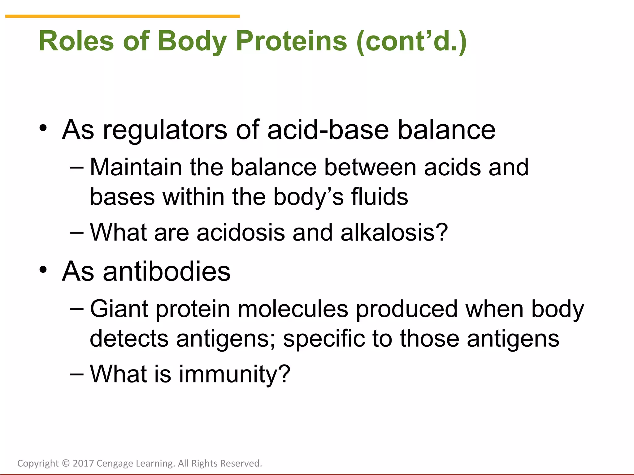 Chapter 5: Protein | PPT