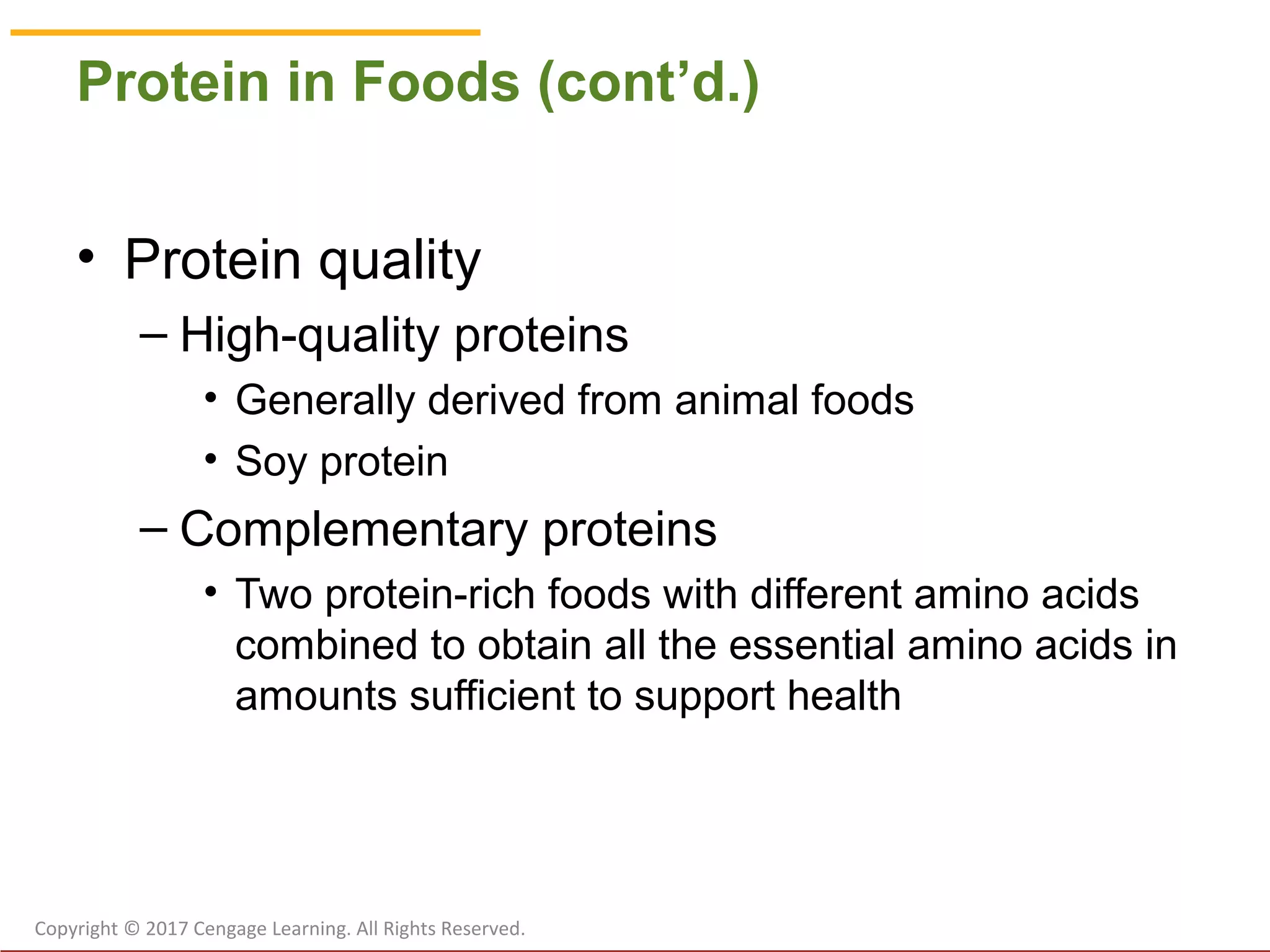 Chapter 5: Protein | PPT