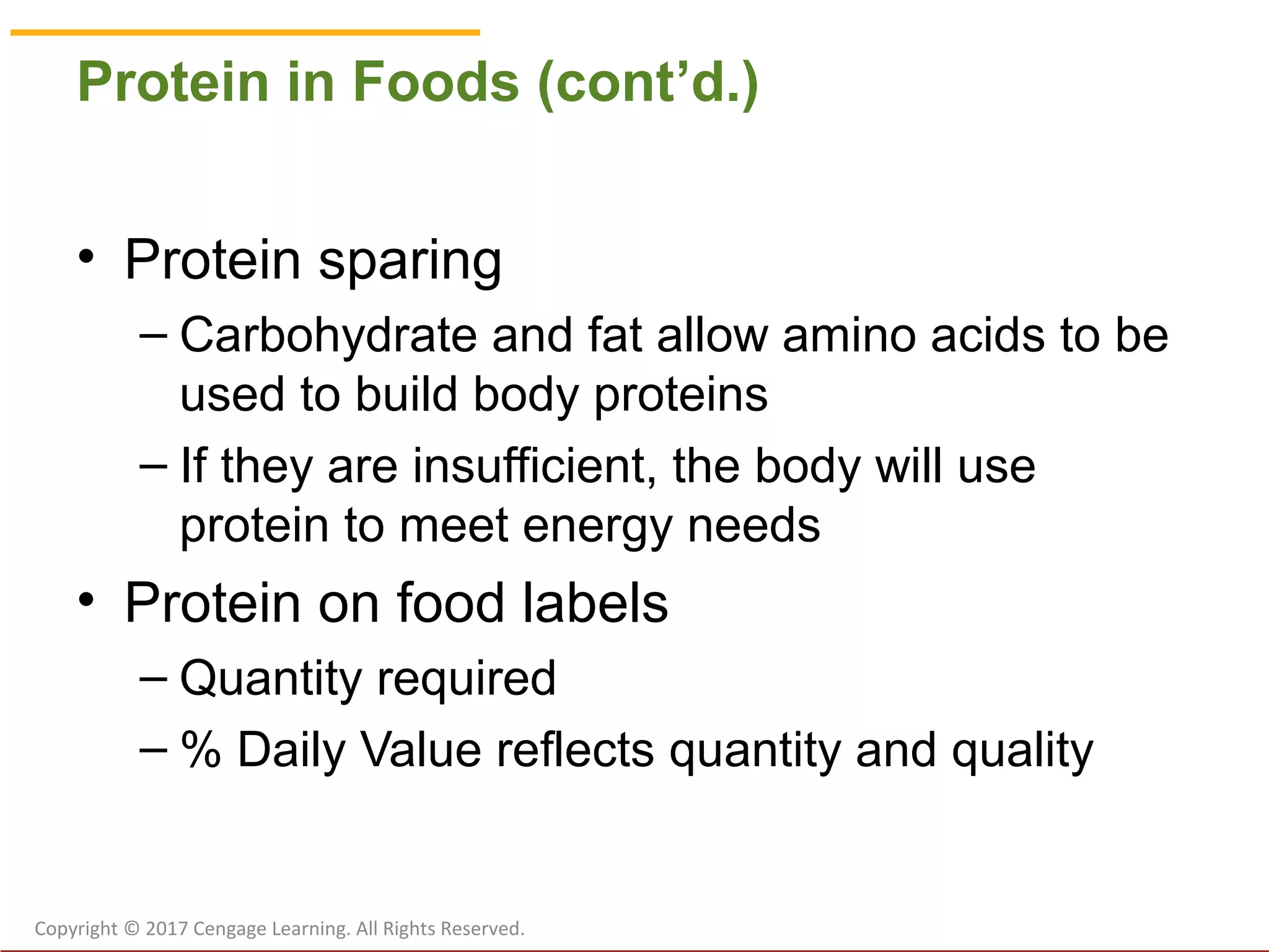 Chapter 5: Protein | PPT