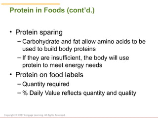 Chapter 5: Protein | PPT