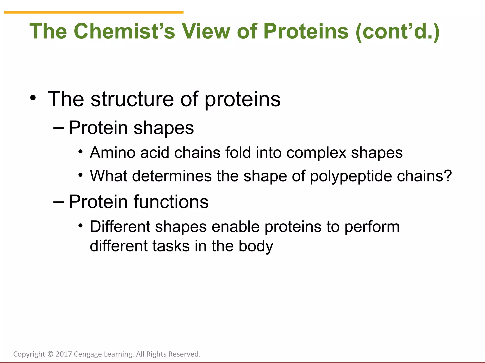 Chapter 5: Protein | PPT