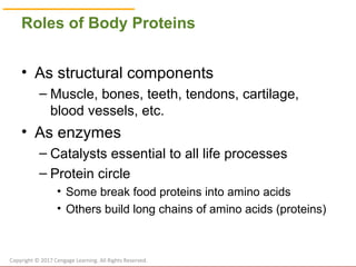 Chapter 5: Protein | PPT
