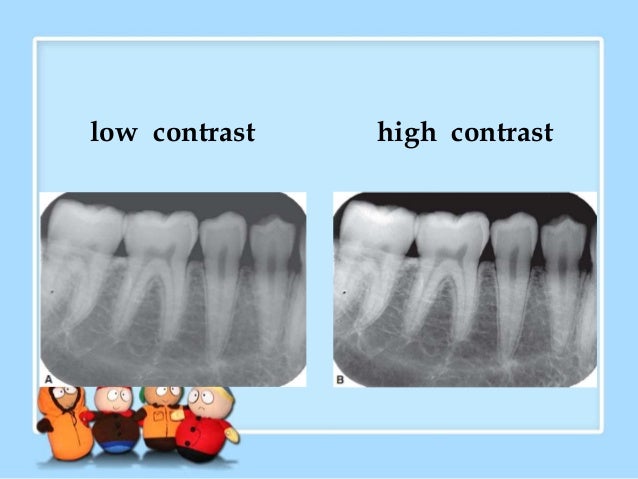 white and pharoah-Chapter 5