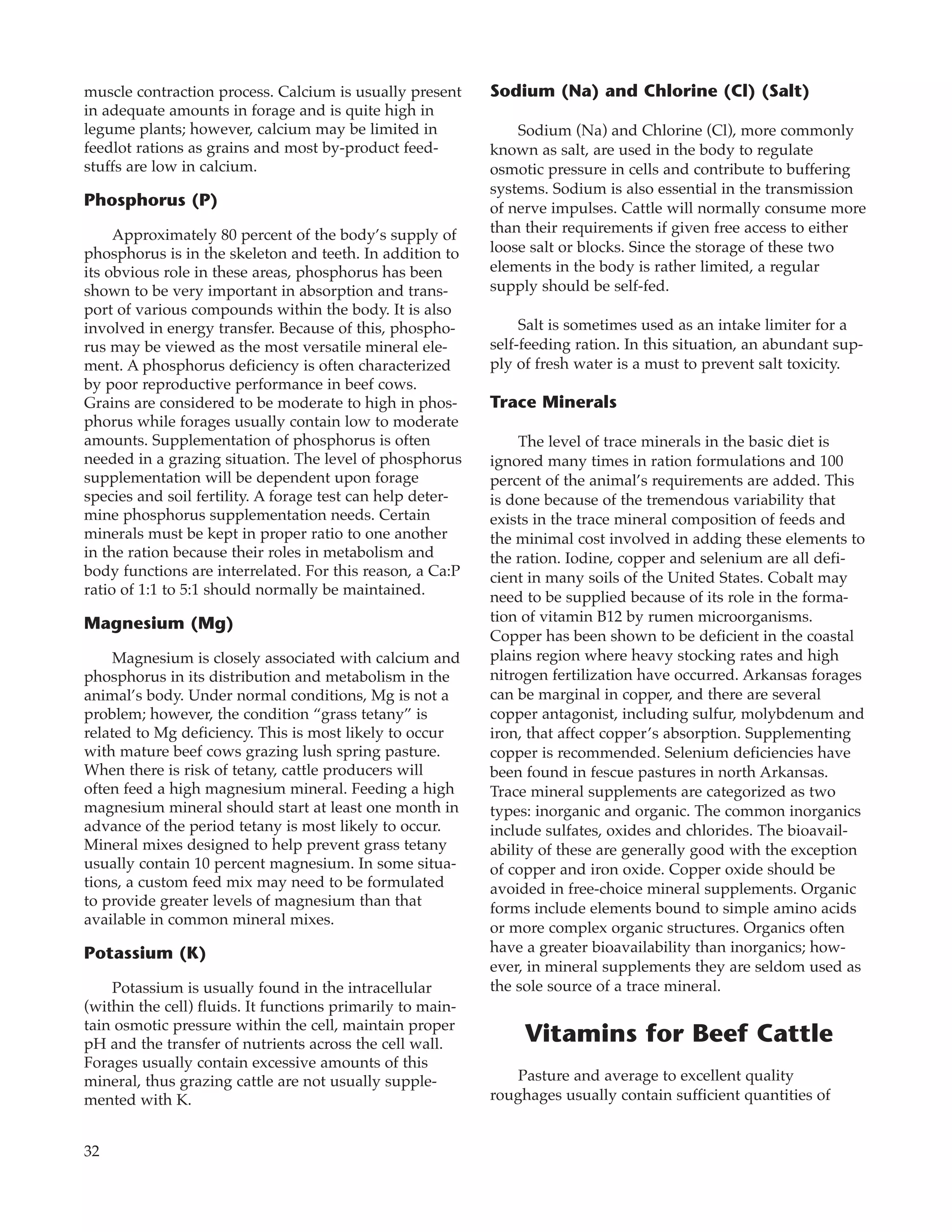 Beef Cattle Nutrition | PDF